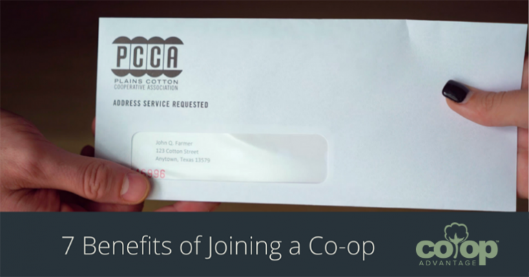 7 Benefits of Joining A Co-op – CO-OP ADVANTAGE